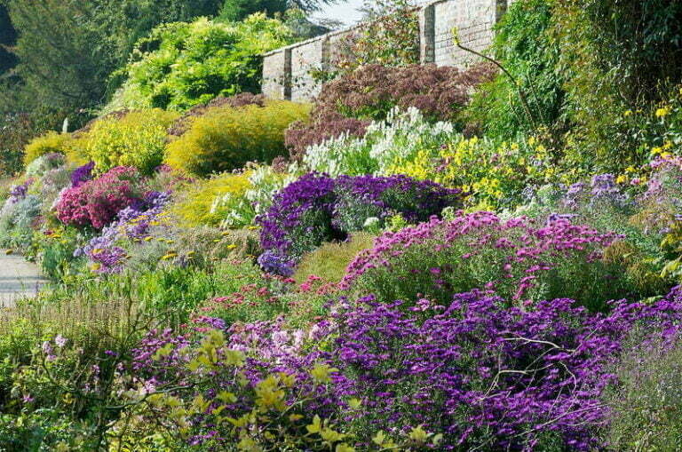 Borders in de tuin: 5 ideeën om tuinborders aan te leggen